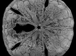 PolyWorks Reviewer User Guide Tutorial - Haven Metrology