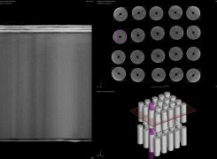PolyWorks Reviewer User Guide Tutorial - Haven Metrology