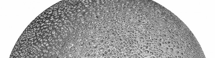 Industrial CT Scanning Porous Microstructure - Haven Metrology